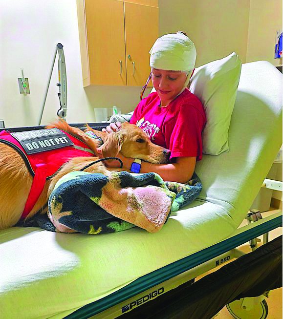 A golden guardian | News, Sports, Jobs - The Mining Journal